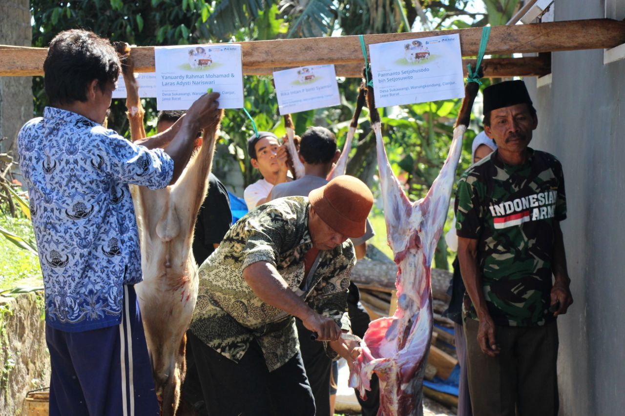 LAZ Al Azhar Distribusikan Kurban untuk Penyintas Gempa Bumi Cianjur ...
